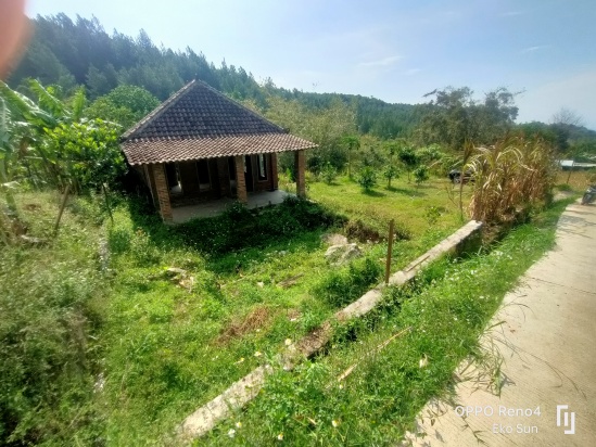 Tanah Dikelilingi Hutan Cocok Buat Villa Siap Pakai Batas Pondasi ...