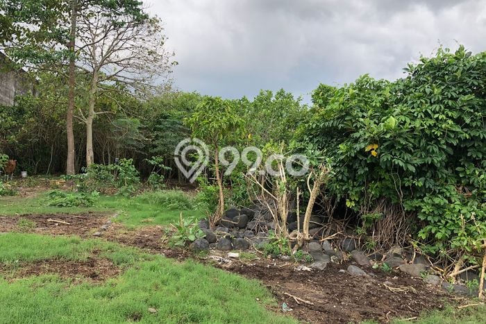 Jual Tanah di Ubung Kaja, Harga Tanah Permeter Terbaru 2025