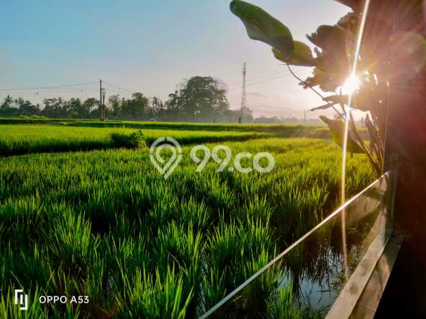 Rumah di Gianyar, Akses ke Fasilitas, 1 KT, LT 300m² Bangunan 200m² ...