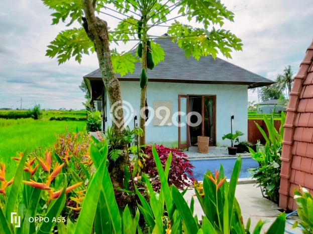 Rumah Sejuk area Gianyar, 3 KT, Free Macet - oleh Johan Morgan Purba