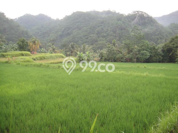 Dijual Tanah Area Prospektif di Rumpin, Luas 500000m², Akses Rumpin ...