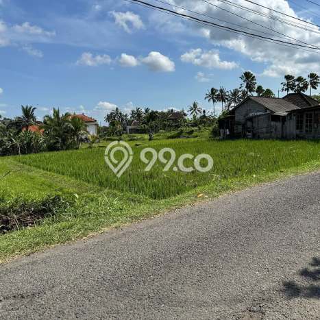 Tanah Komersial Kawasan Ubud, Luas 2000m², Pinggir Jalan - oleh ROBERT ...