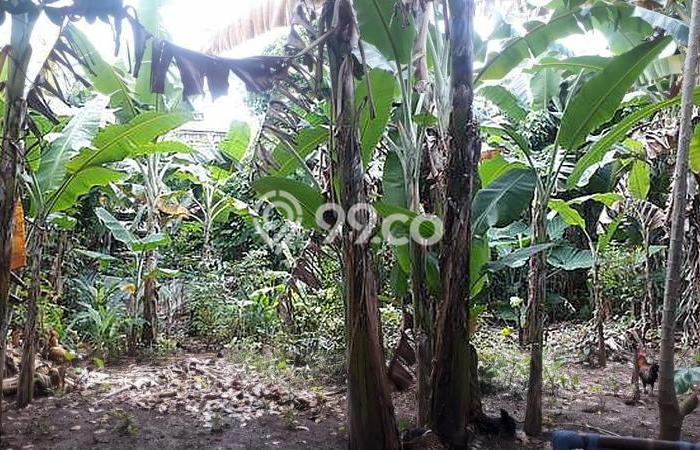 Jual Tanah di Bambu Apus, Harga Tanah Permeter Terbaru 2025