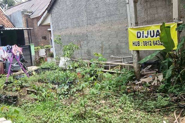 Nouka - Agen Properti | 99.co