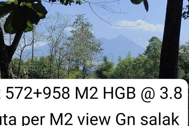 DIKI - Agen Properti | 99.co