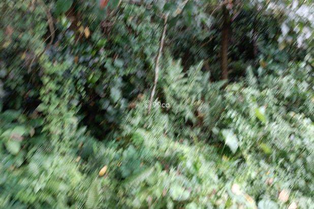 Tanah Dijual di Rejasa, Tabanan | Harga Terbaru 2024