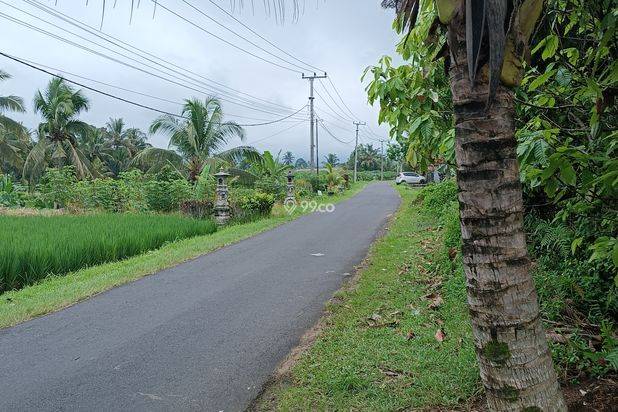 Jual Tanah Bersertifikat Hak Milik di Rejasa, Tabanan | Harga Terbaru 2024