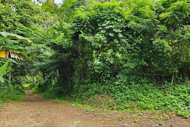 Jual Tanah Bersertifikat SHM di Pandeglang | 99.co