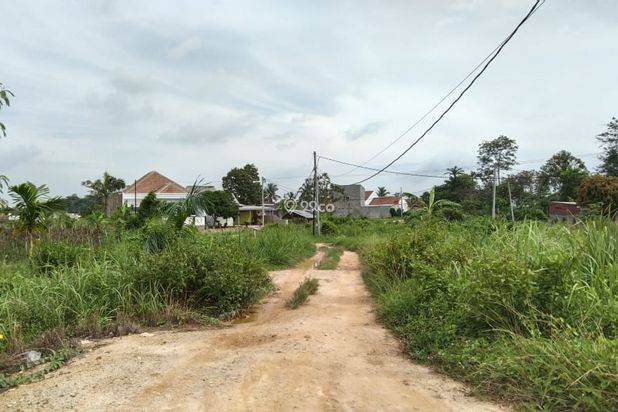 Jual Tanah Bersertifikat AJB di Way Halim, Bandar Lampung | 99.co