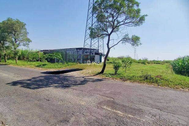 Jual Tanah Bersertifikat HGU di Jawa Timur | 99.co