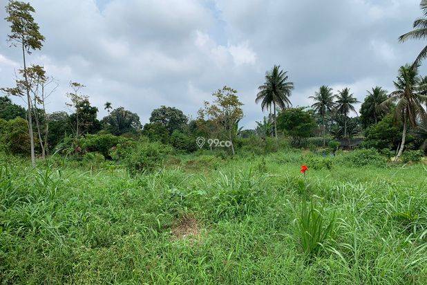 Jual Tanah di Deli Serdang | Harga Tanah Permeter Terbaru 2024