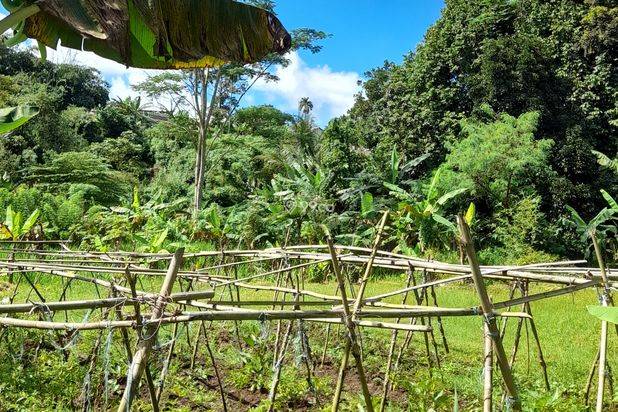 Jual Tanah di Parung Kuda, Sukabumi | Harga Tanah Permeter | 99.co