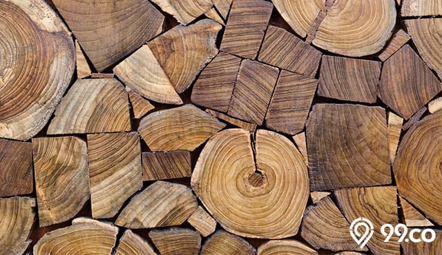 Kayu Nyatoh - Karakteristik, Kegunaan, hingga Cara Memilih