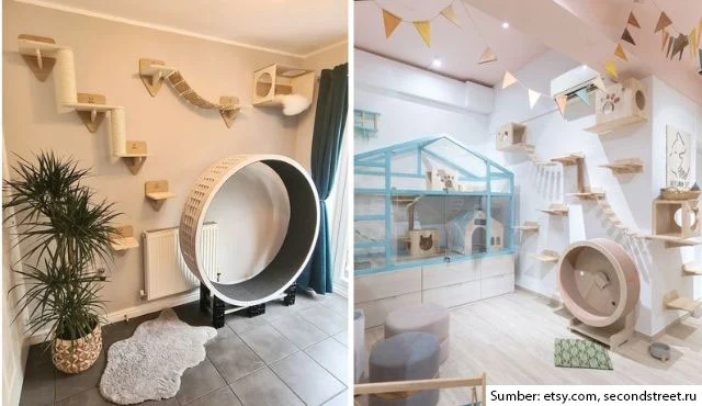 7 Inspirasi Desain Ruangan Kucing di Rumah yang Lucu Gemas