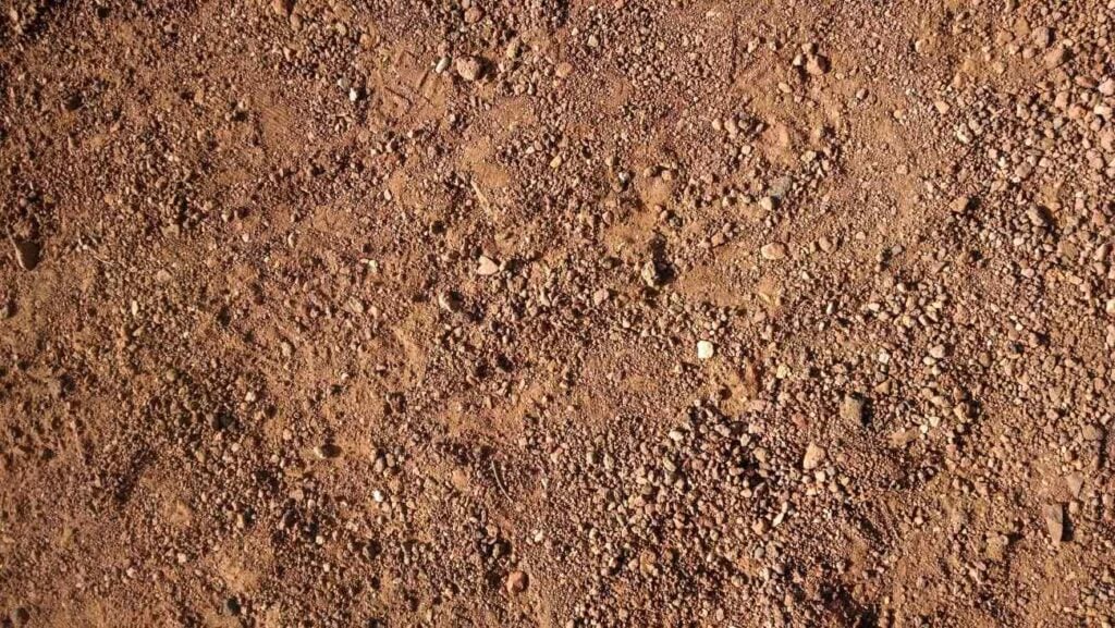 Penjelasan Struktur & Tekstur Tanah Adalah: Jenis dan Fungsinya