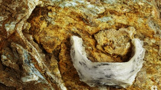 Bentuk Dalam Rumah Walet Agar Walet Terpancing dan Betah