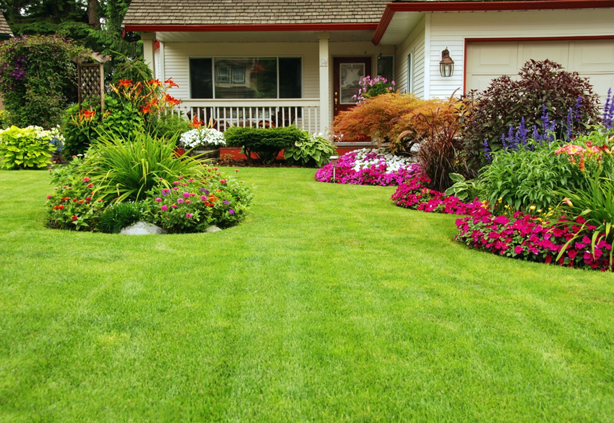 5 Tips Menciptakan Taman Modern yang Cantik di Rumah