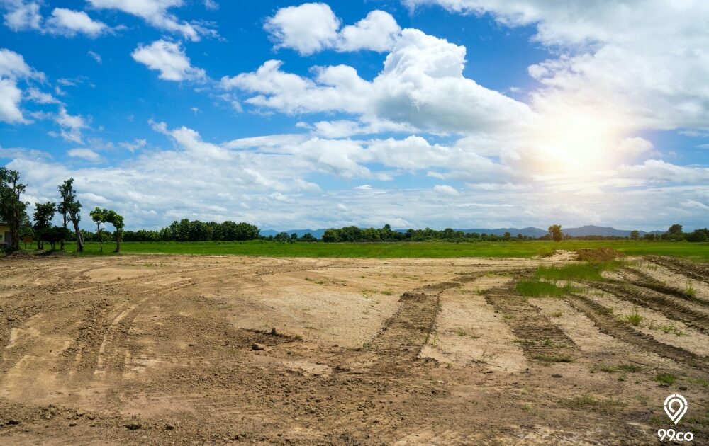 7 Tips Membeli Tanah Kavling untuk Pemula agar Tidak Tertipu