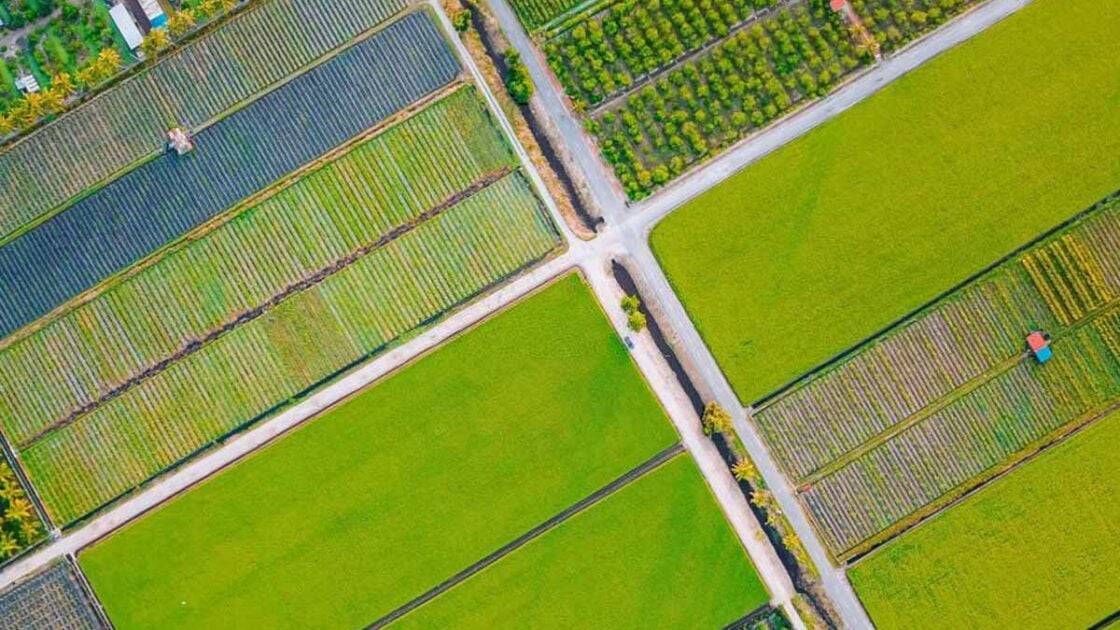 Mengenal HGU dan Cara Mengajukannya