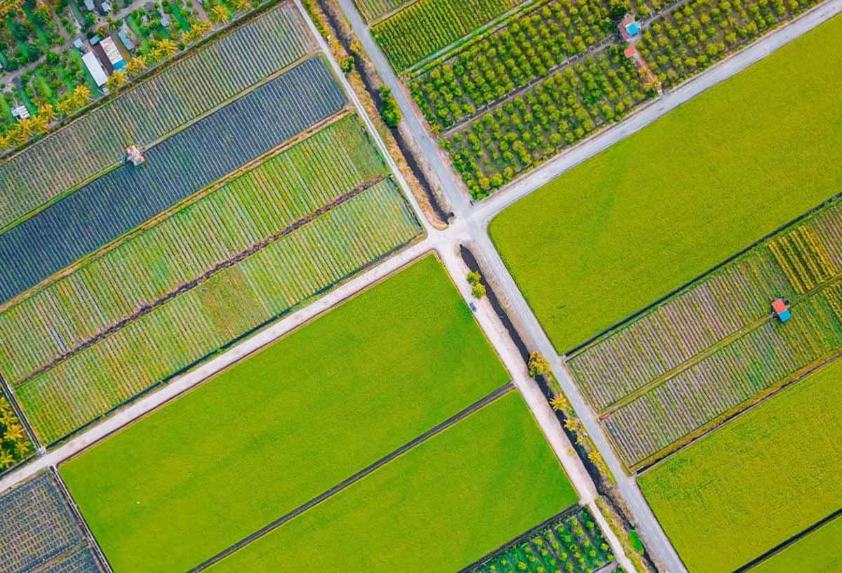 Mengenal HGU dan Cara Mengajukannya