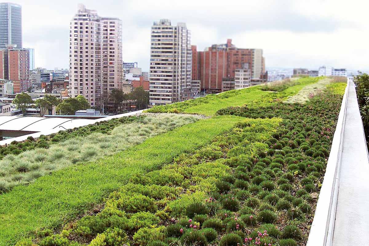Jenis-Jenis Green Roof dan Manfaatnya pada Bangunan