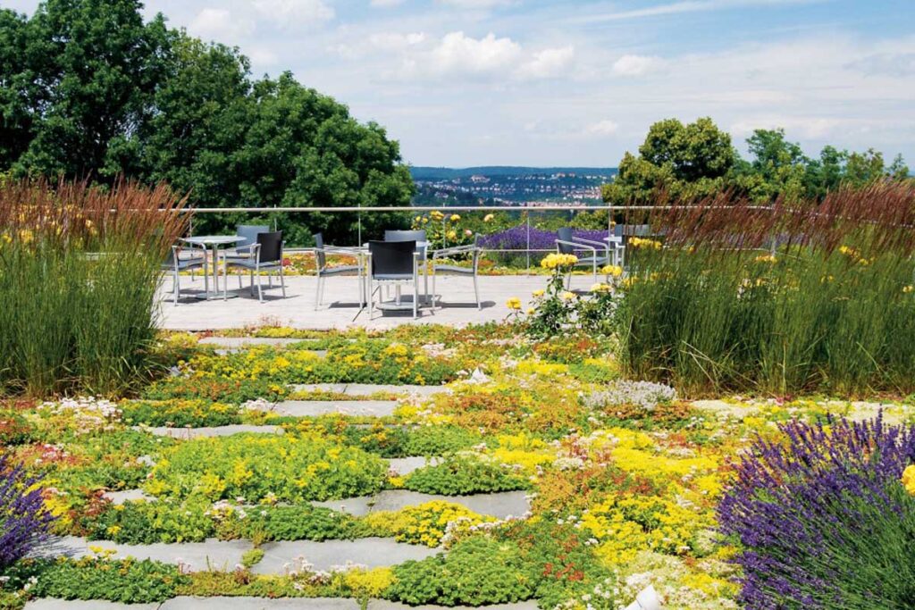 Jenis-Jenis Green Roof dan Manfaatnya pada Bangunan