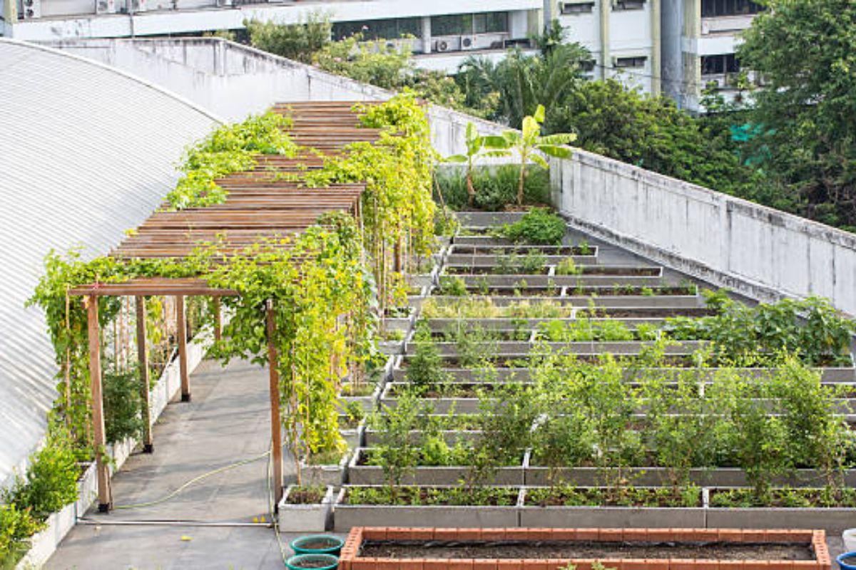 Taman Atap: Cara Membuat dan 8 Inspirasi Desainnya