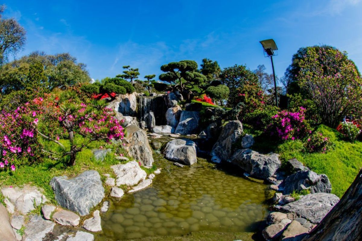 7 Inspirasi Taman Jepang untuk Ciptakan Suasana Rileks