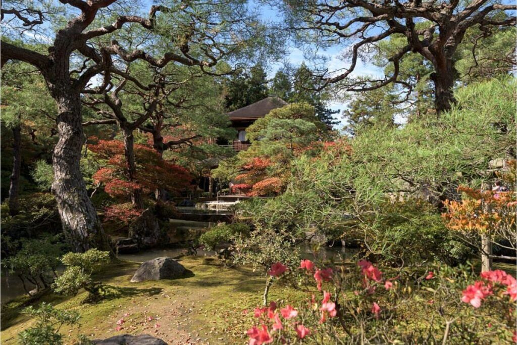 7 Inspirasi Taman Jepang untuk Ciptakan Suasana Rileks