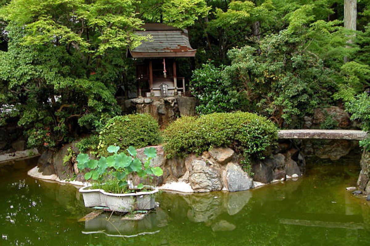 7 Inspirasi Taman Jepang untuk Ciptakan Suasana Rileks