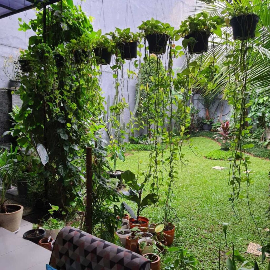 8 Desain Landscape Taman Minimalis di Rumah yang Estetis