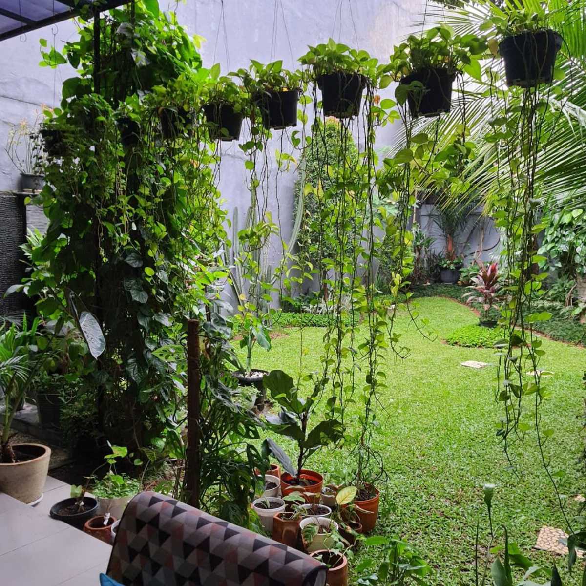 8 Desain Landscape Taman Minimalis di Rumah yang Estetis