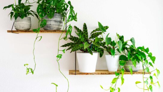 5 Desain Rak Bunga Minimalis Paling Cantik