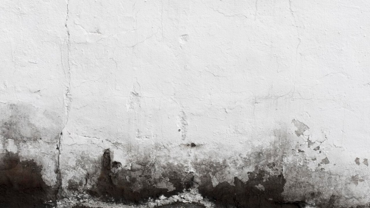 6 Cara Mudah Mengatasi Dinding Lembab