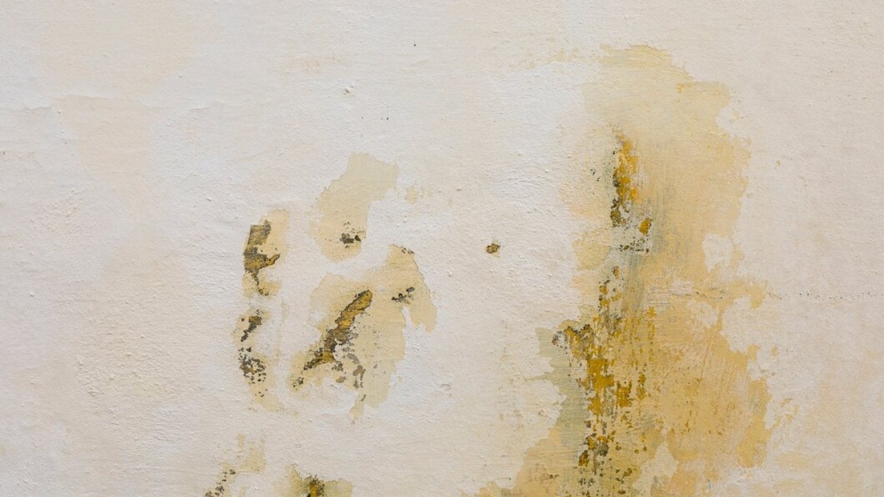 6 Cara Mudah Mengatasi Dinding Lembab