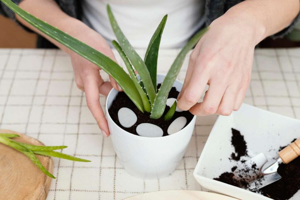 7 Pendingin Ruangan selain AC, Murah dan Hemat Listrik!