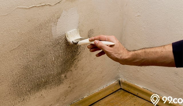 10 Rekomendasi Cat Tembok Anti Lembab Terbaik 2025