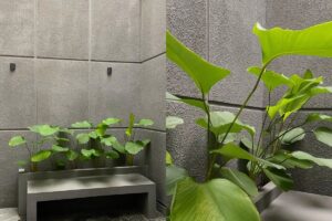 Mengenal Apa Itu Tali Air, Begini Pengertian, Fungsi dan Motifnya!