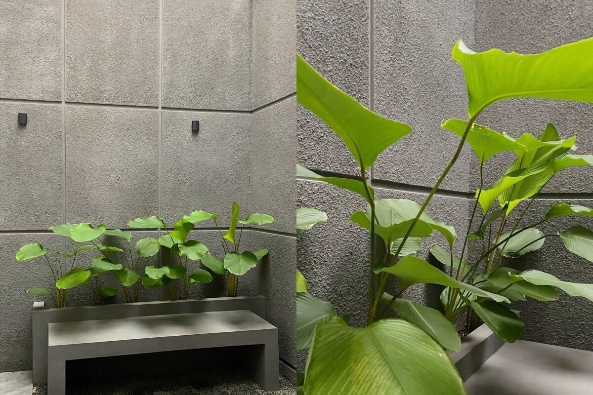 Mengenal Apa Itu Tali Air, Begini Pengertian, Fungsi dan Motifnya!