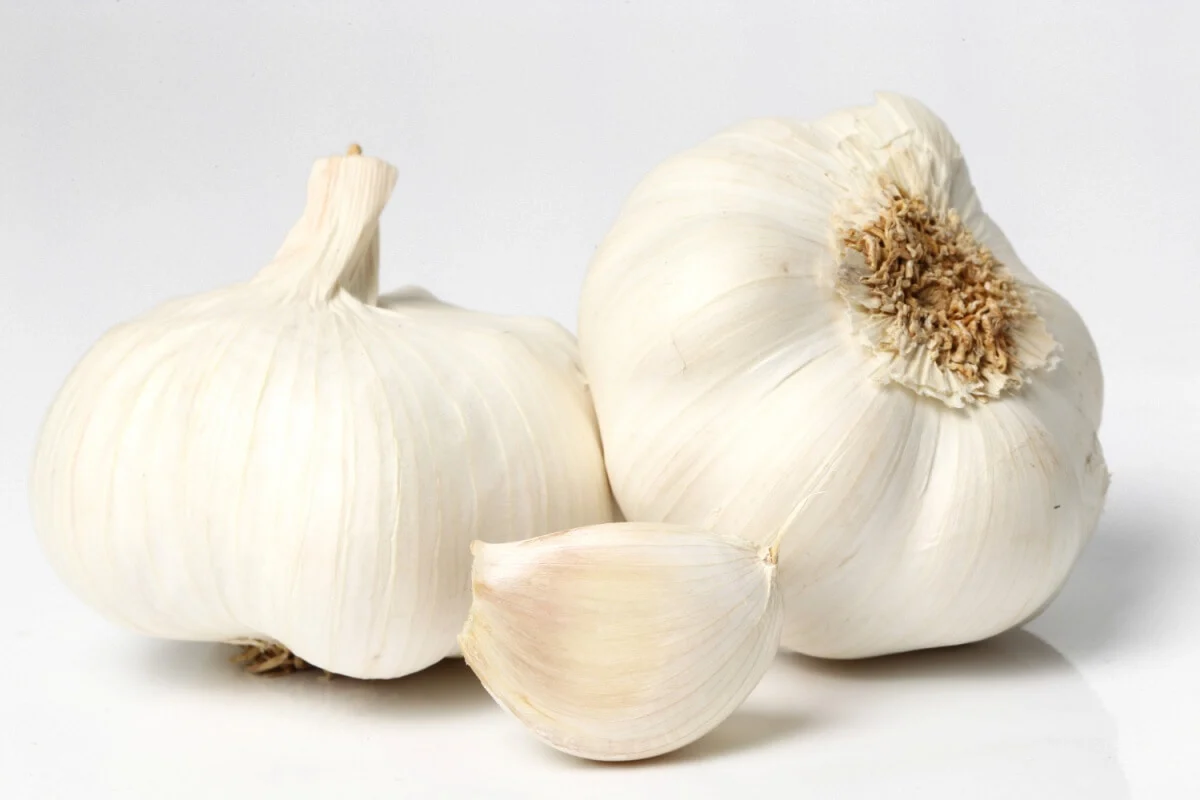 15 Cara Menghilangkan Bau Cat yang Menyengat dengan Cepat