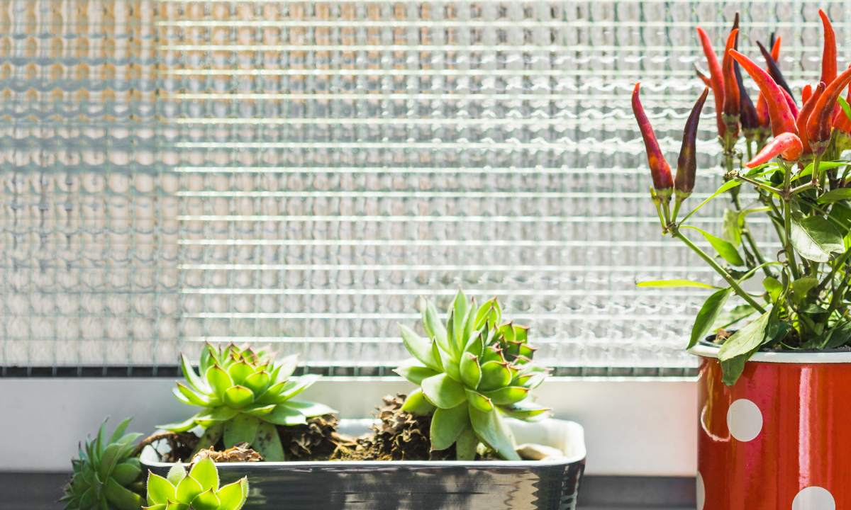 Ukuran Glass Block Terlengkap untuk Rumah dan Bangunan Lain