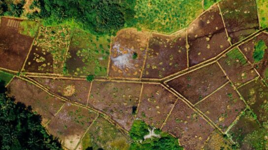 Cara Cek Zona Tanah Online Pakai Aplikasi Peta BPN BHUMI