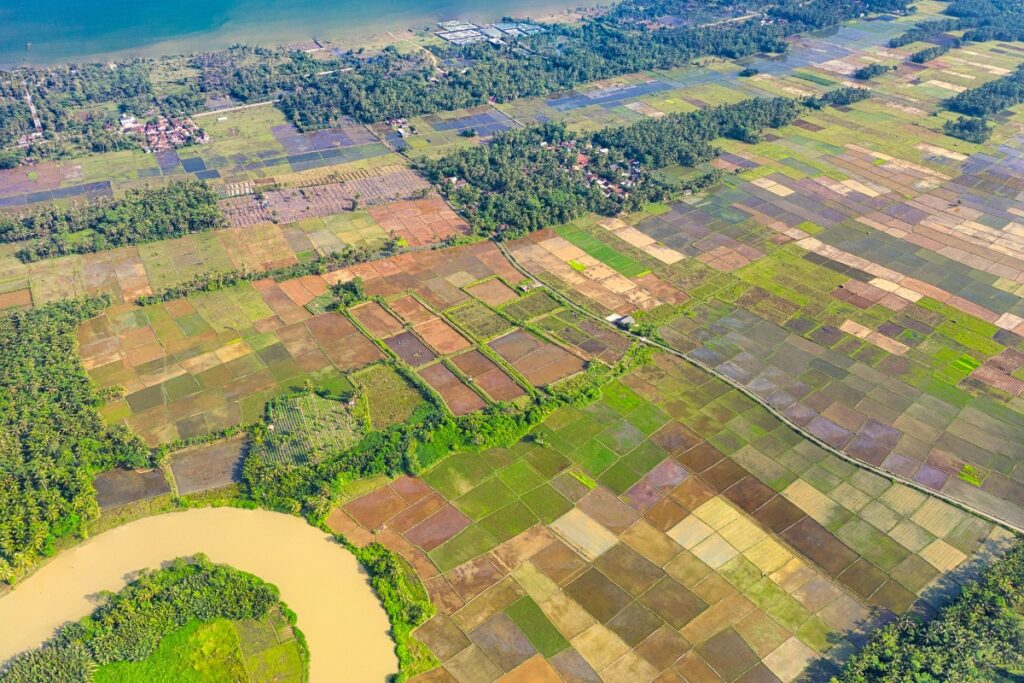 1 Kavling Berapa Meter? Penjelasan Ukuran & Jenis Tanah Kavling