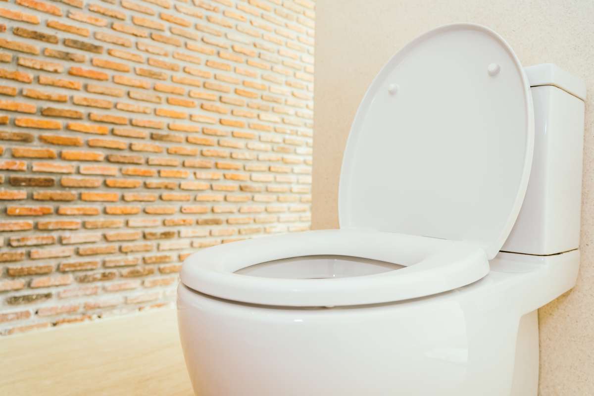 Standar Ukuran Kloset Duduk beserta Harga dan Tata Letaknya