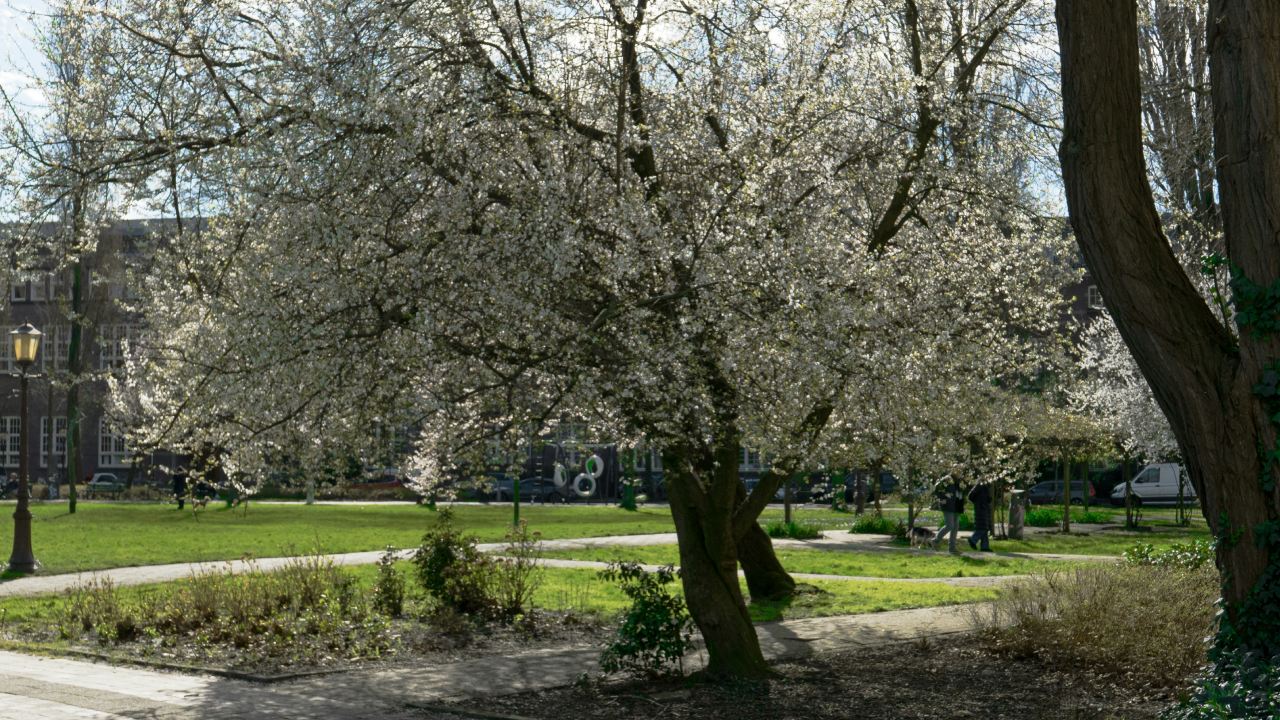 Hukum Menggunakan Tanah Fasum untuk Kepentingan Pribadi