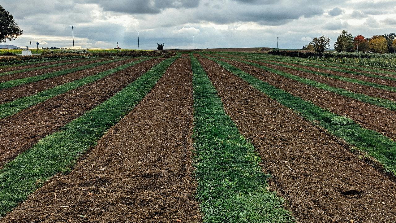 4 Cara Cek Tanah Milik Siapa Online, Cepat dan Mudah!