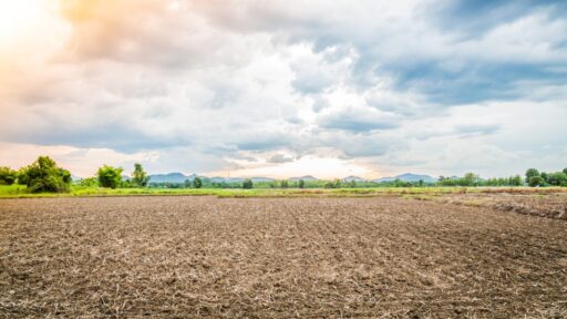 7 Perbedaan Tanah Kavling dan Tanah Biasa Terlengkap