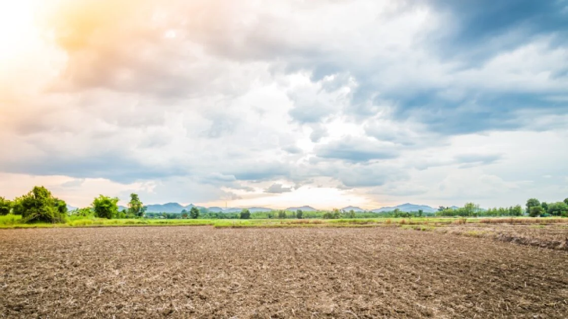 Contoh Surat Girik Tanah Asli dan Masa Berlakunya