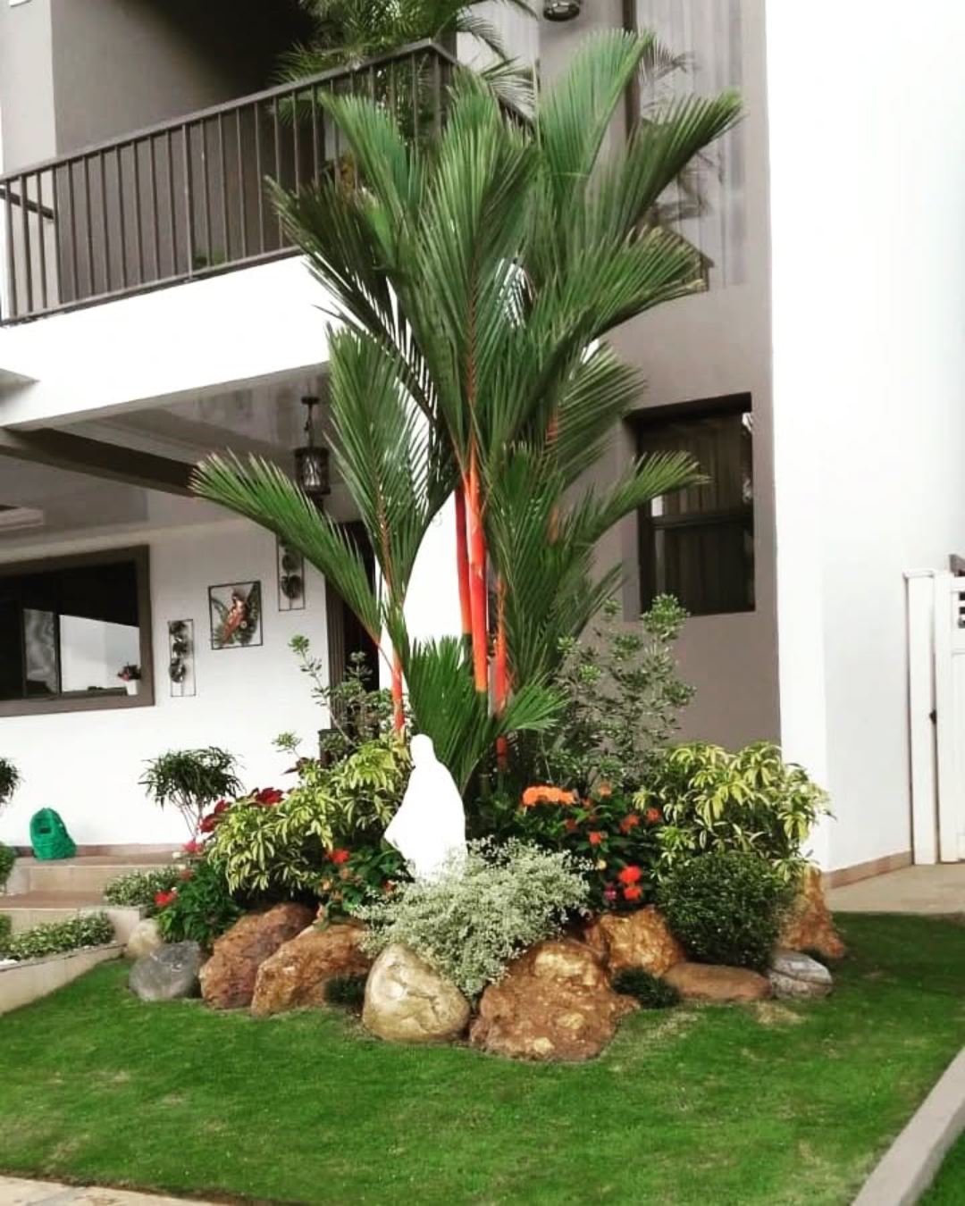 5 Pohon Hias Depan Rumah yang Mudah Dirawat