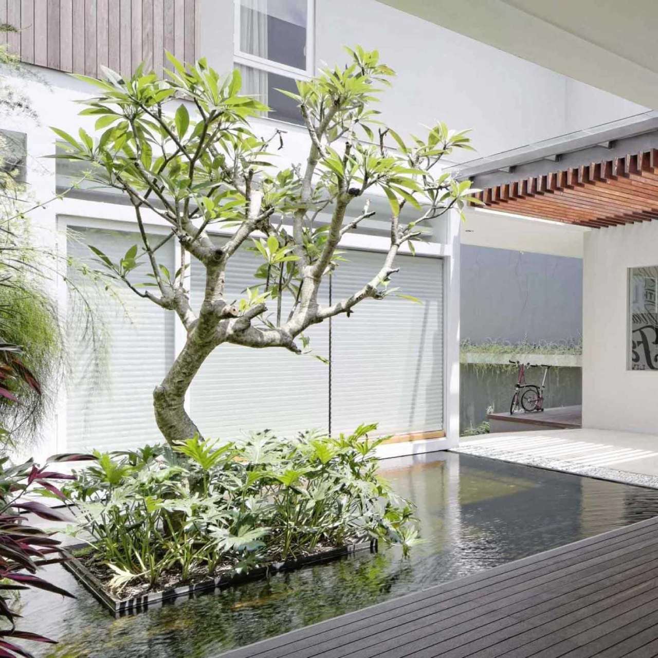 5 Tanaman Hias Outdoor Tahan Panas yang Mudah Dirawat